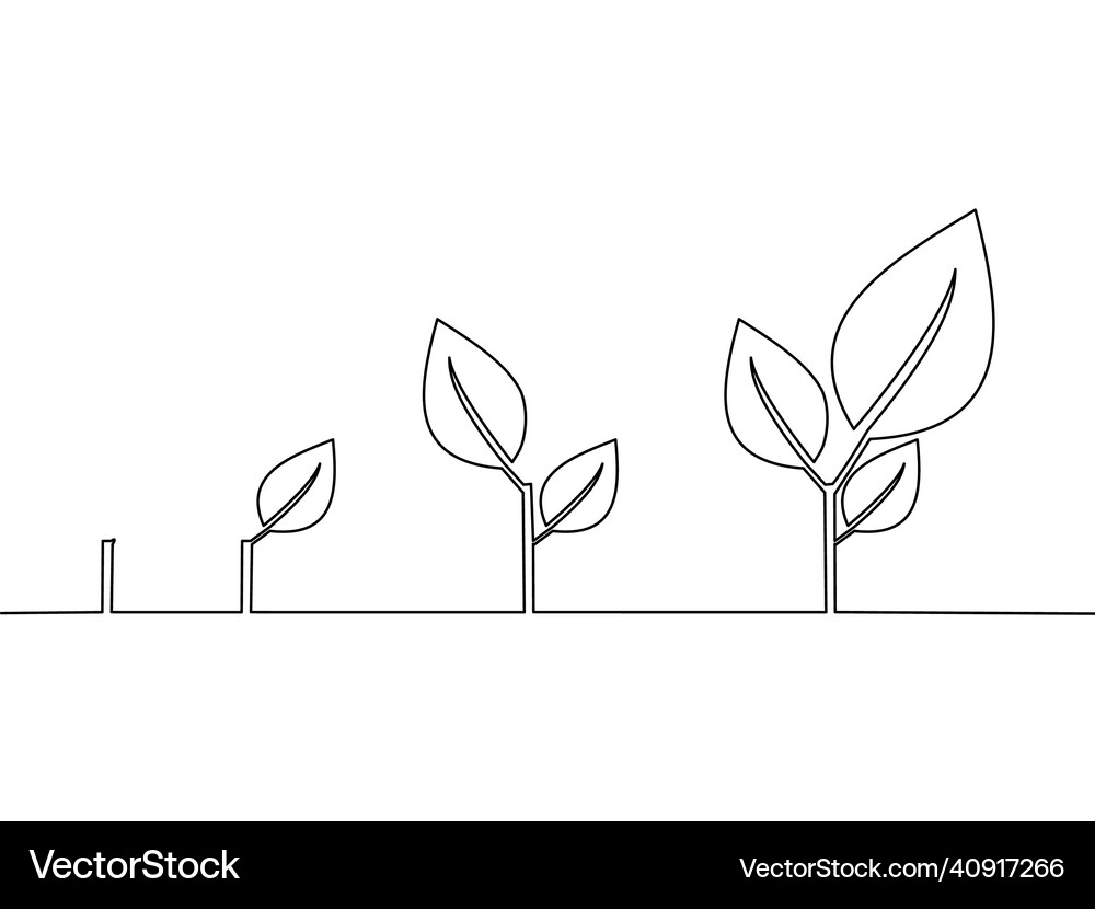 Draw a continuous line of growing trees Royalty Free Vector