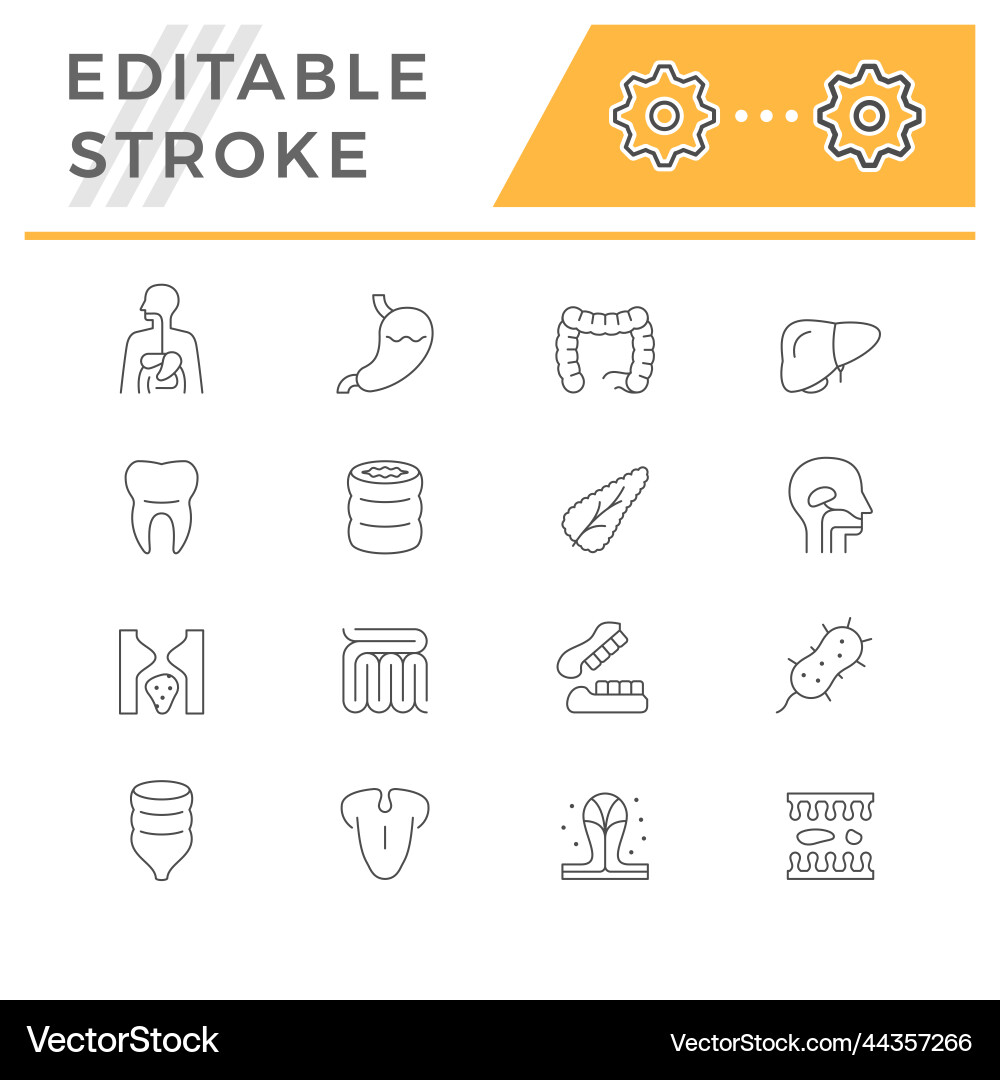 Set line icons of digestive system Royalty Free Vector Image