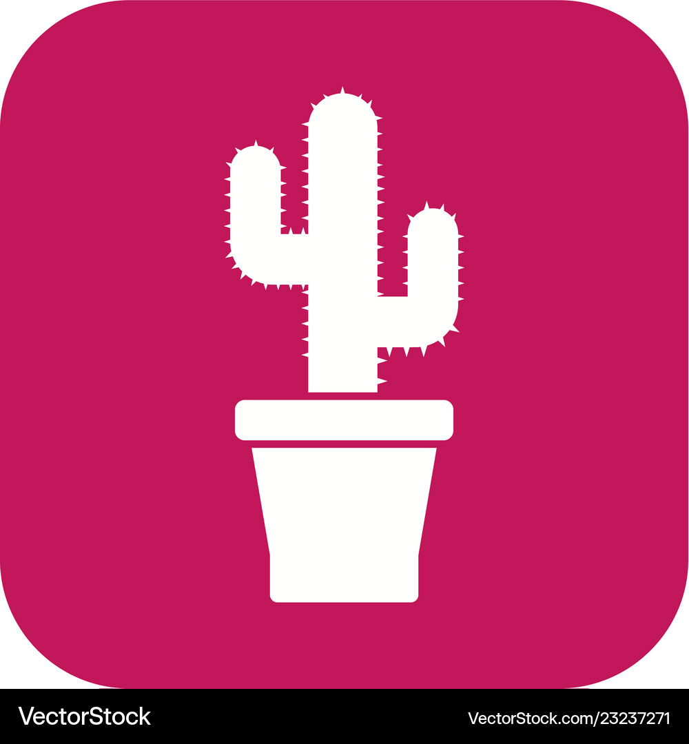 Cactus icon Royalty Free Vector Image - VectorStock