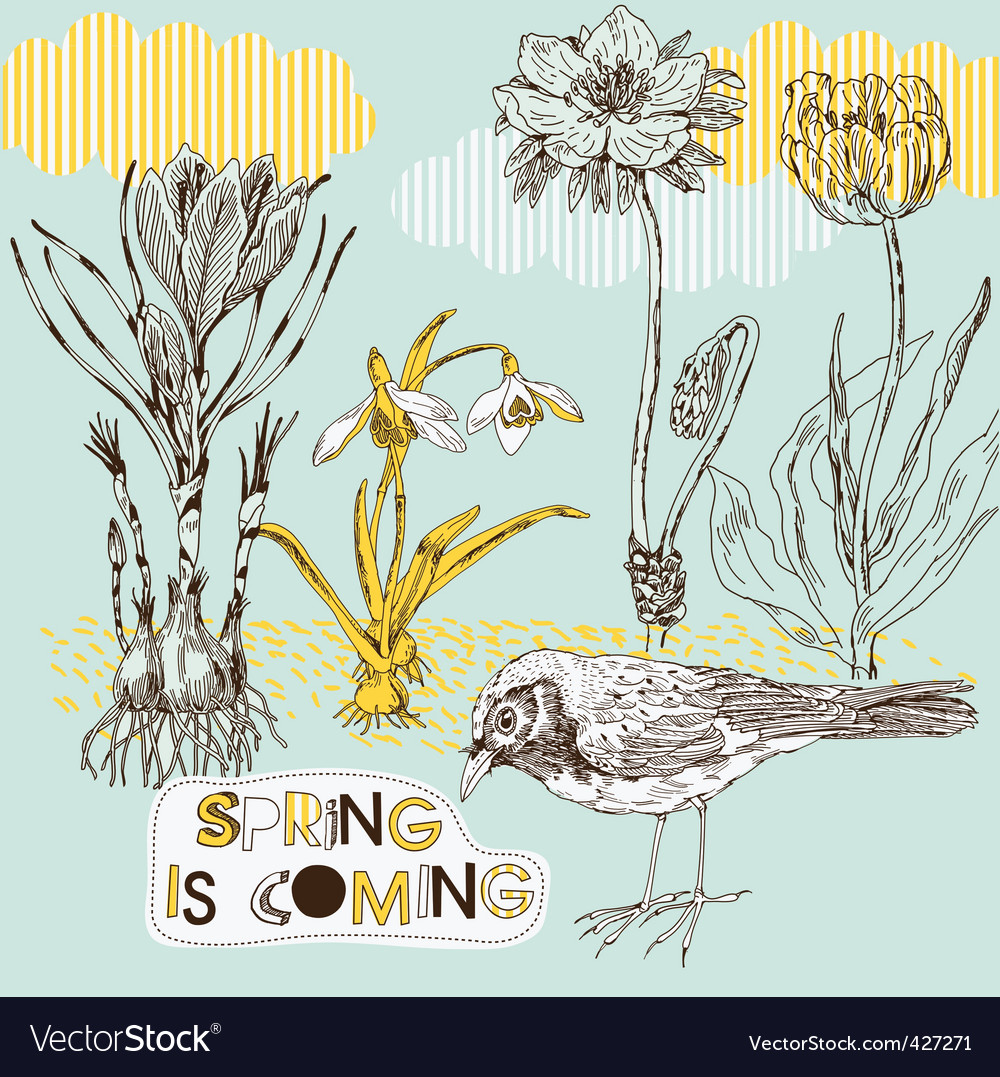 Spring Royalty Free Vector Image - VectorStock