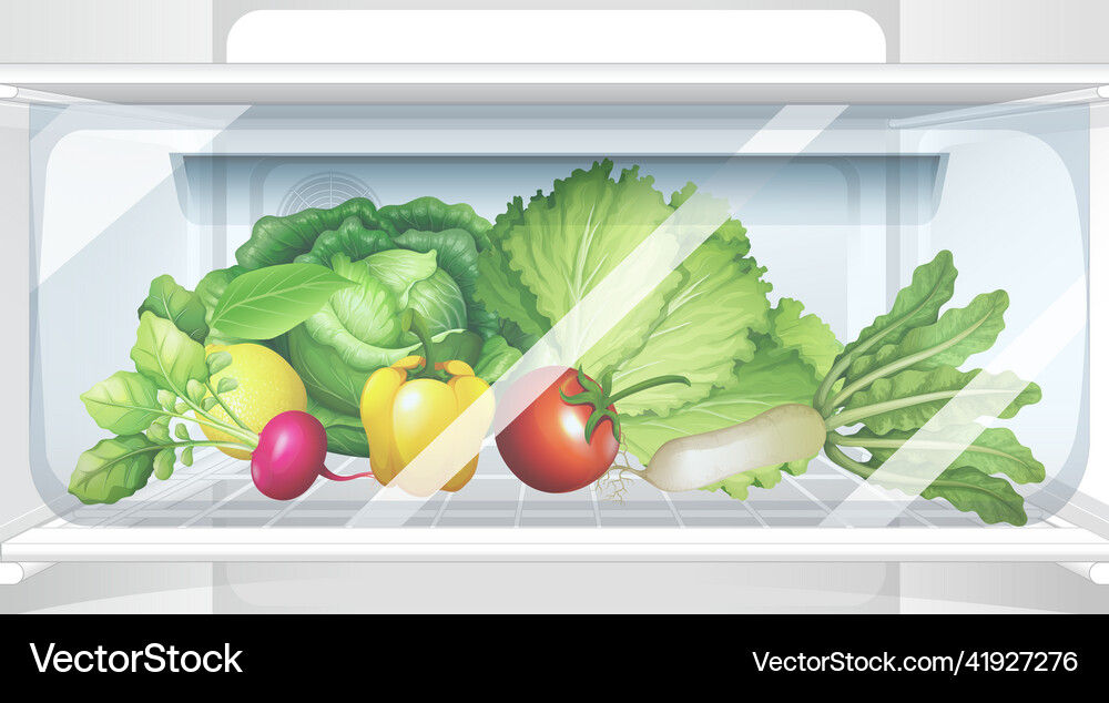 An inside the refrigerator with vegetable Vector Image
