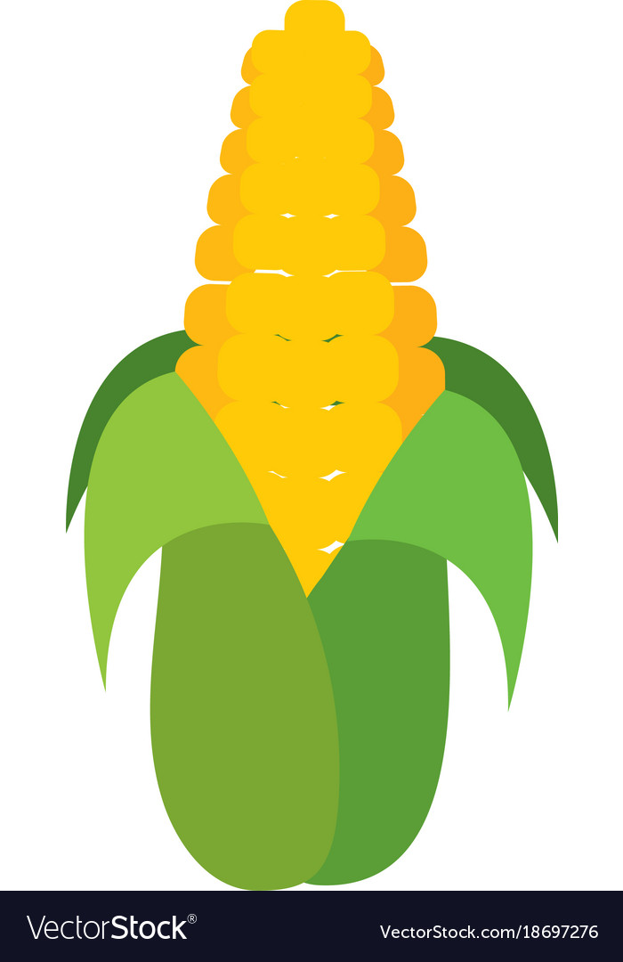Isolated corn design Royalty Free Vector Image