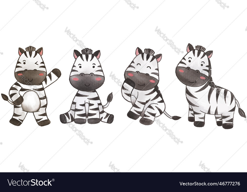 Zebra watercolor paint design set of cute Vector Image