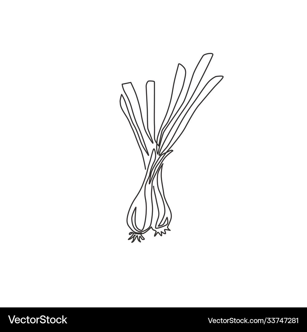 One single line drawing whole healthy organic Vector Image