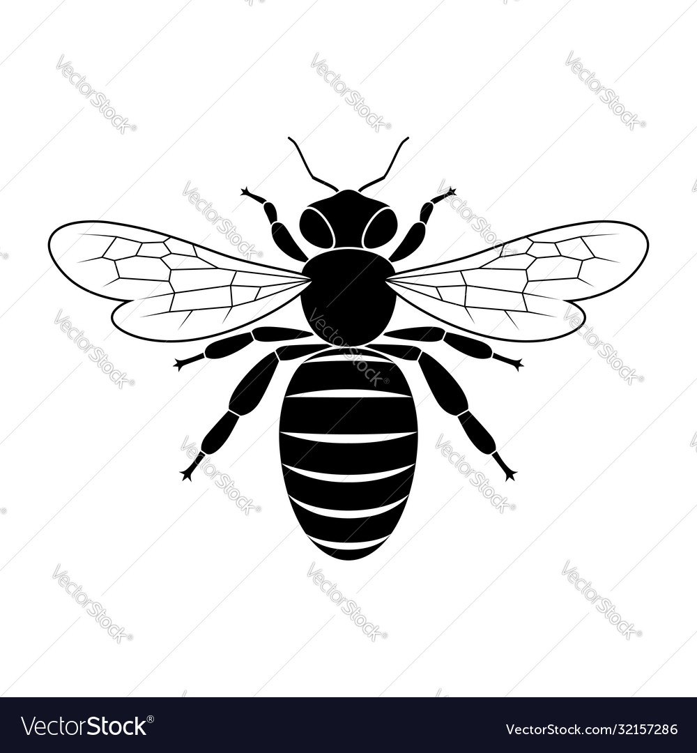 Bee Royalty Free Vector Image - VectorStock