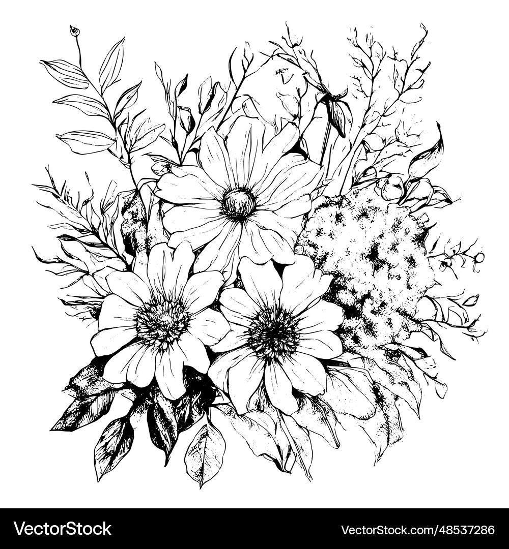Flowers wildflowers hand drawn Royalty Free Vector Image