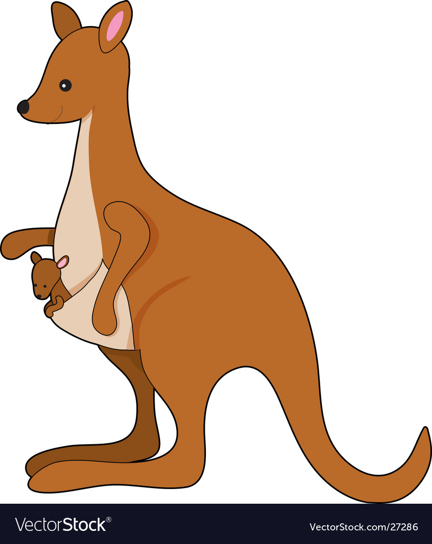 Kangaroo Royalty Free Vector Image - VectorStock