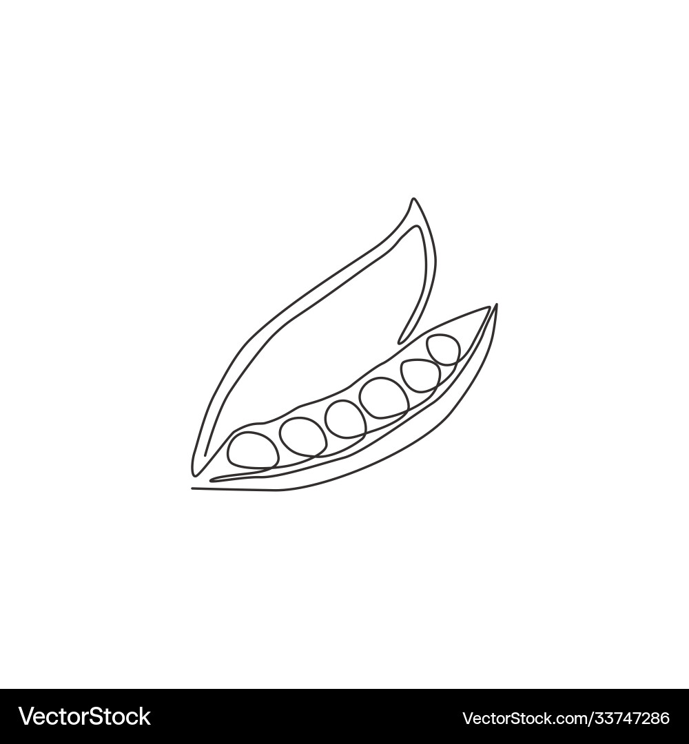 One single line drawing whole healthy organic Vector Image