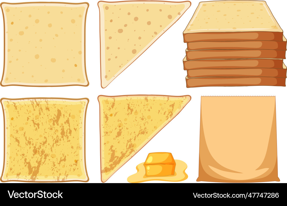 Set of bread and toast Royalty Free Vector Image