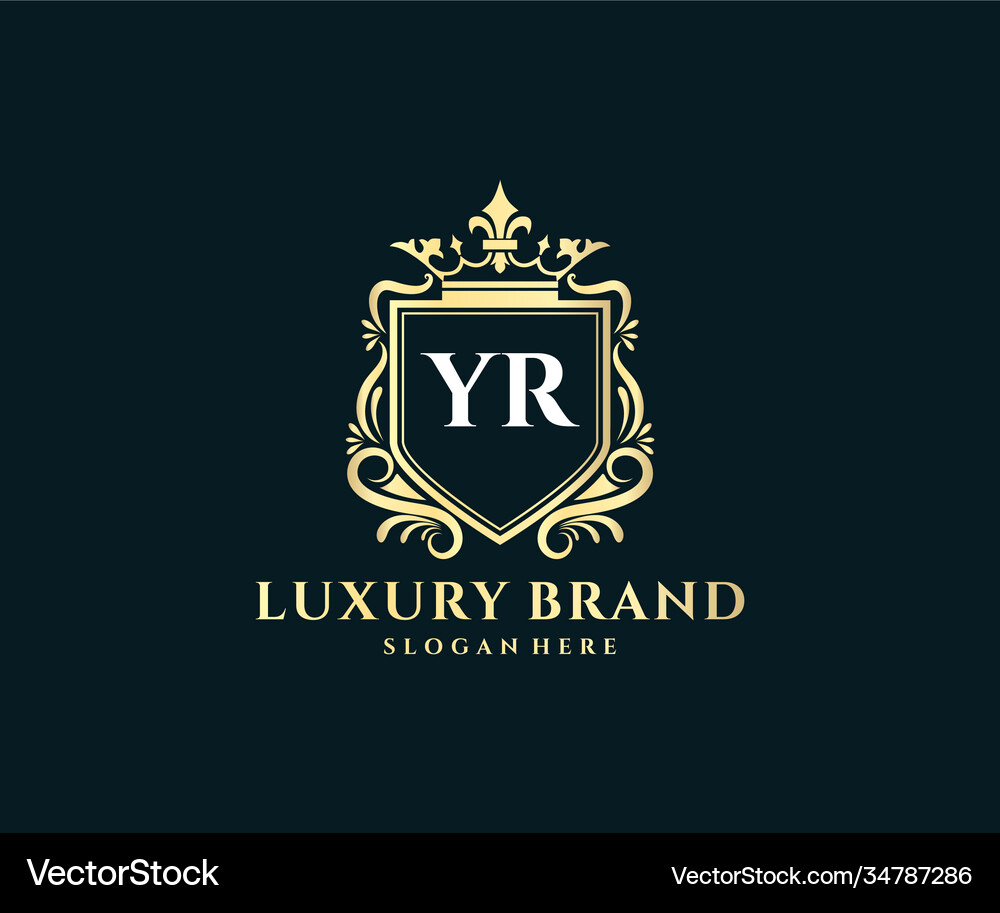 Yr initial letter gold calligraphic feminine Vector Image