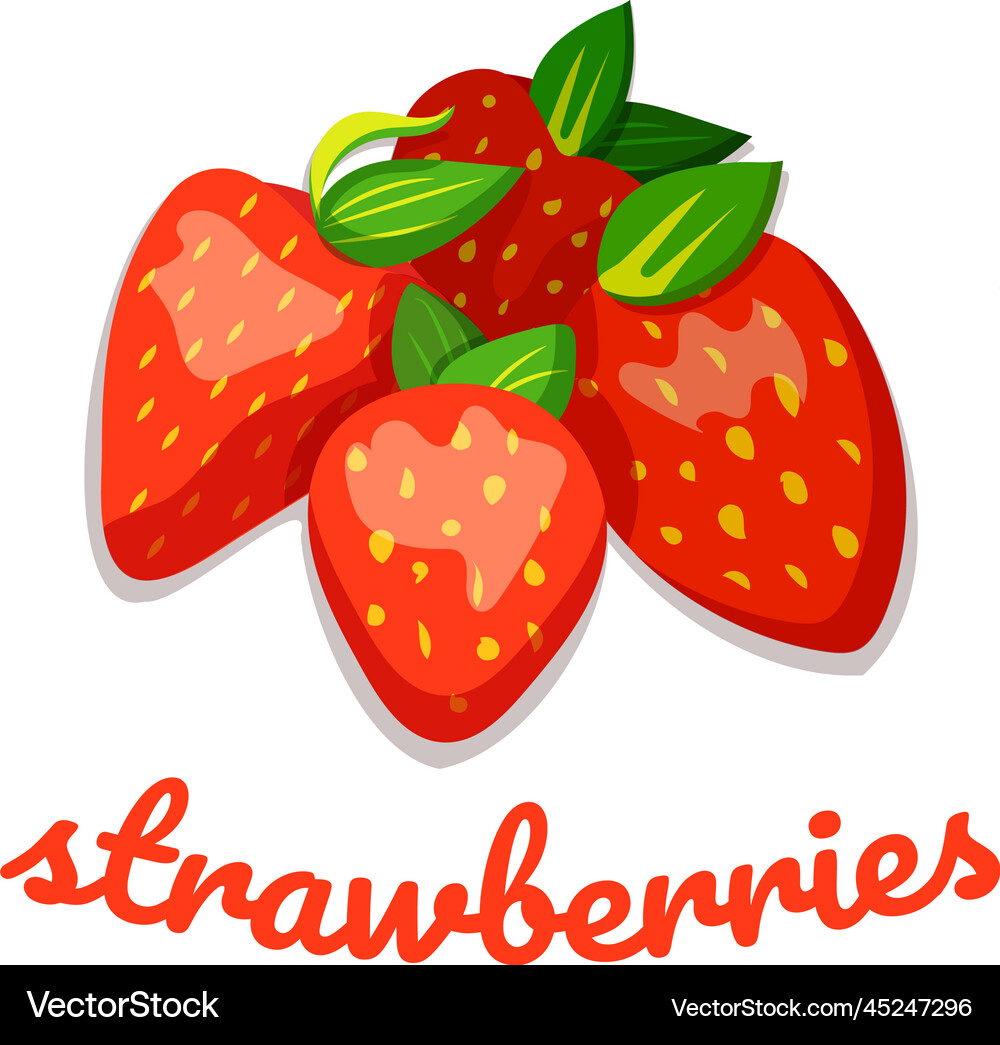 An isolated of bright red Royalty Free Vector Image