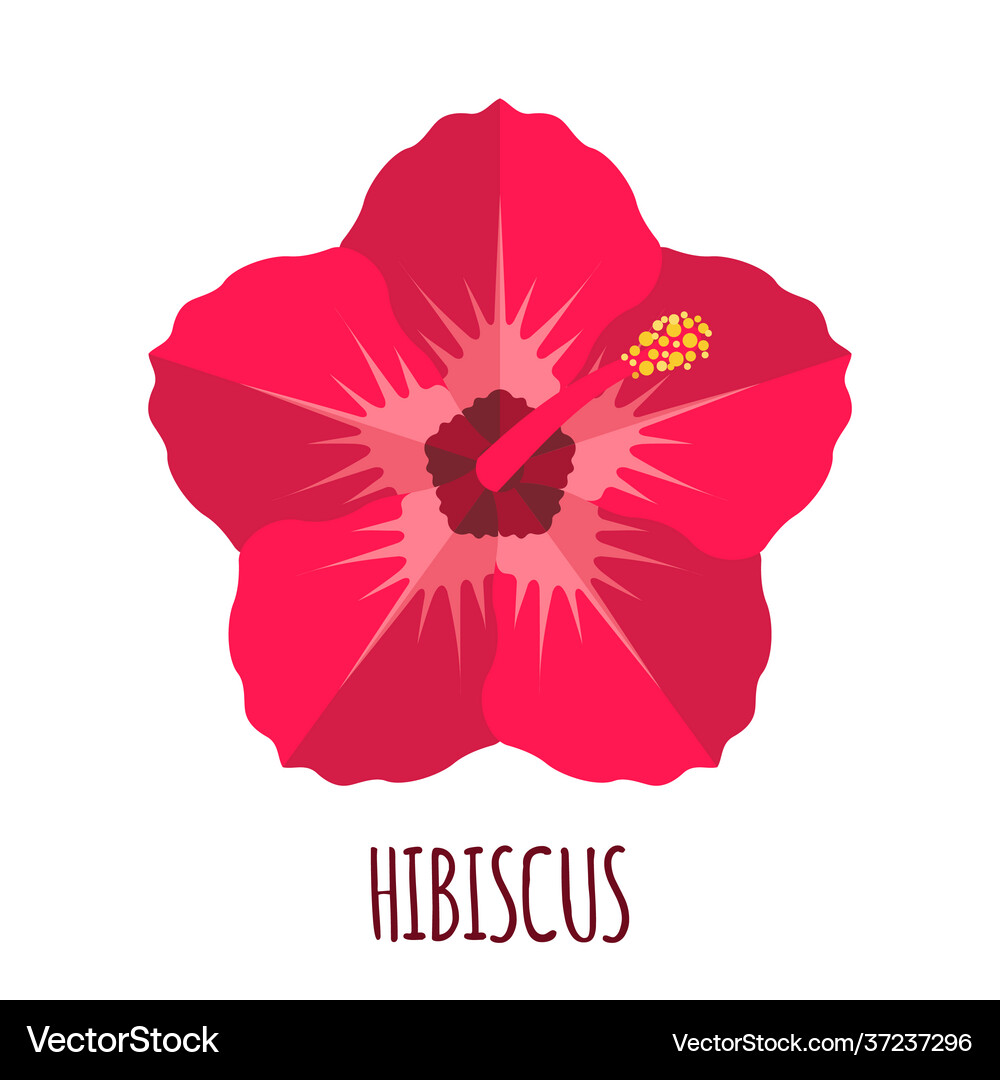 Hibiscus flower icon in flat style isolated Vector Image