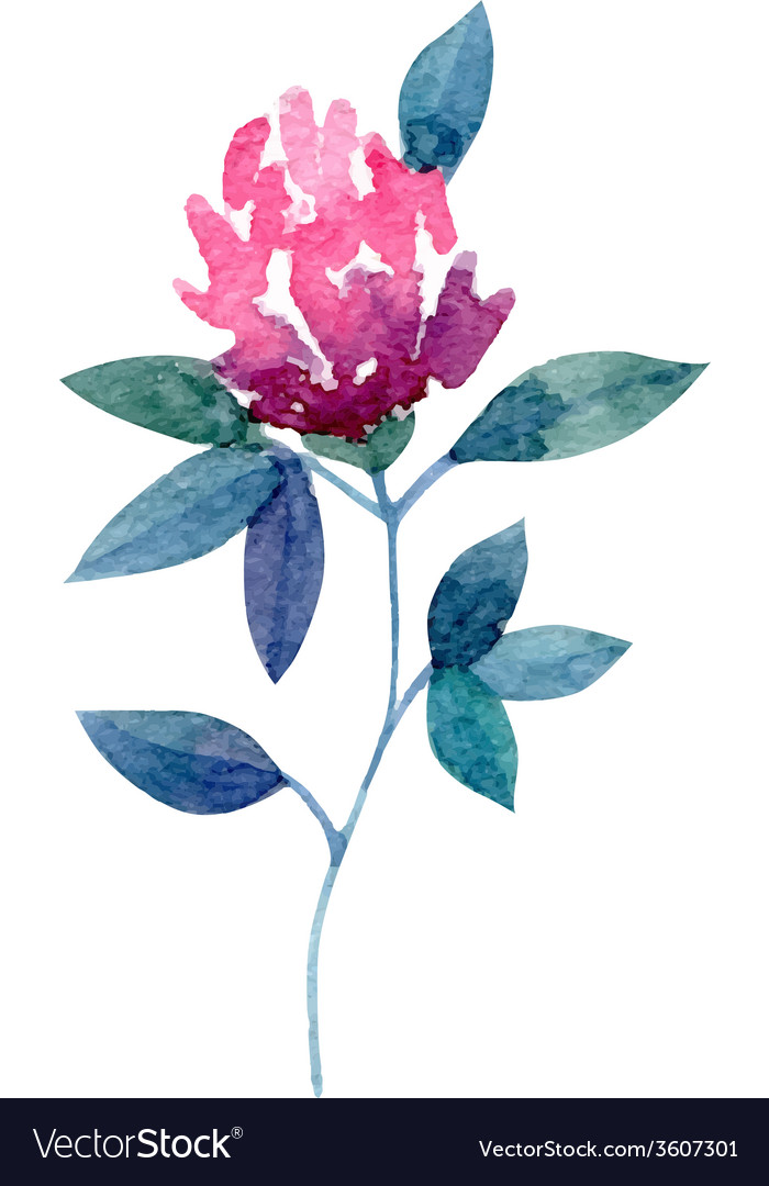 Clover Royalty Free Vector Image - VectorStock