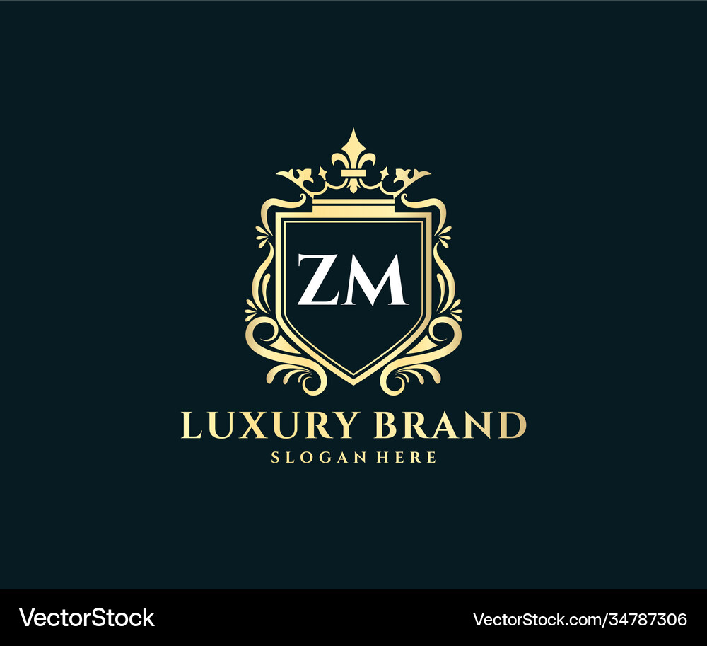 Zm initial letter gold calligraphic feminine Vector Image