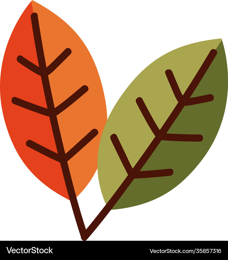 Leaf with two leaves line and fill style icon Vector Image