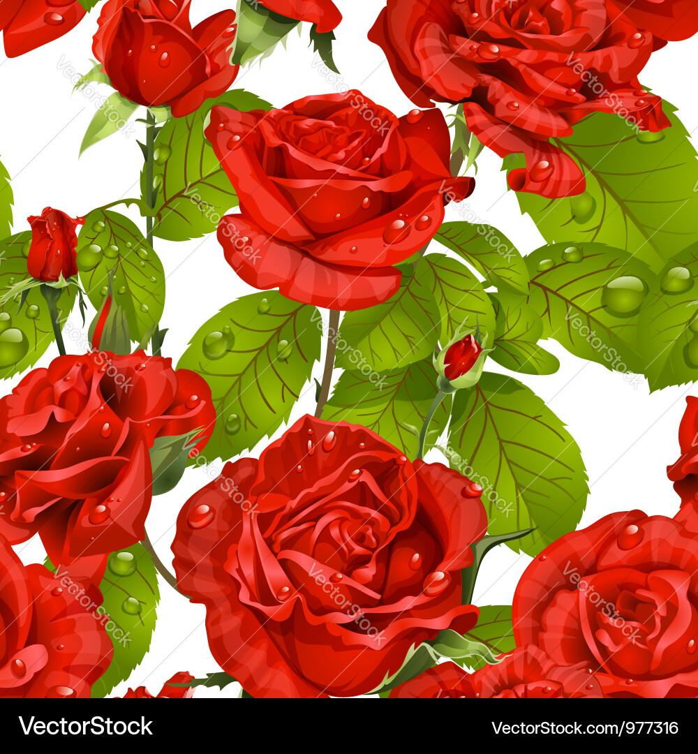 Luxury seamless pattern of red roses on a white Vector Image