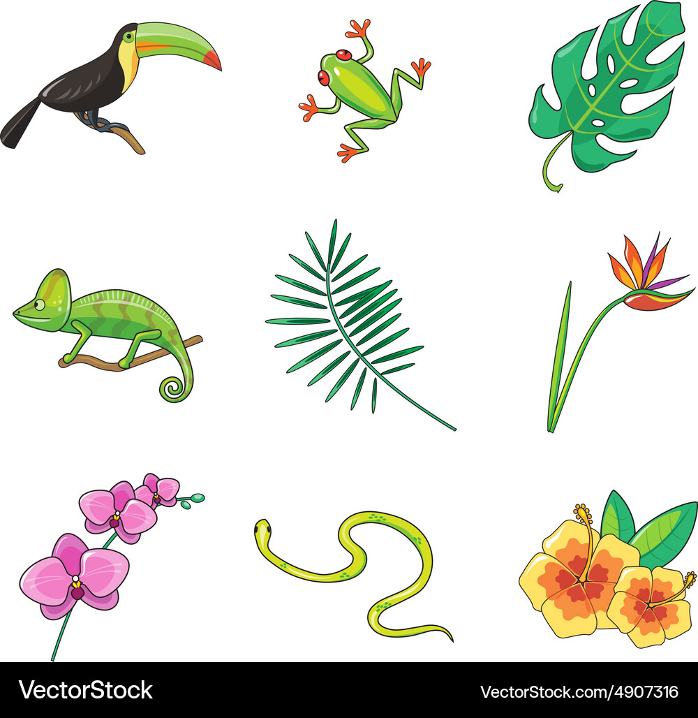 Plants And Animals Clip Art Animals Cartoon Cute Plants Set Stock