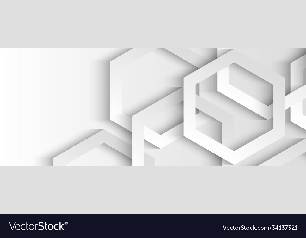 Abstract white and gray geometric hexagon Vector Image