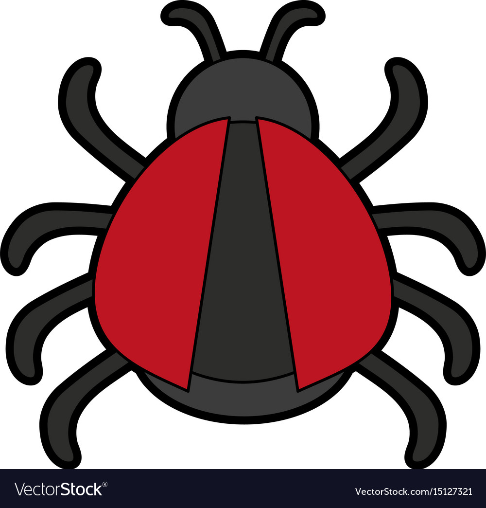 Bug or beatle icon image Royalty Free Vector Image
