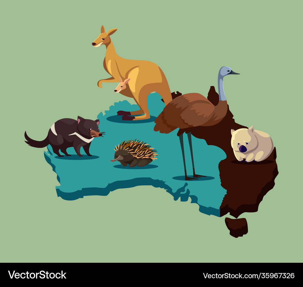 Map australia with cute animals wildlife Vector Image