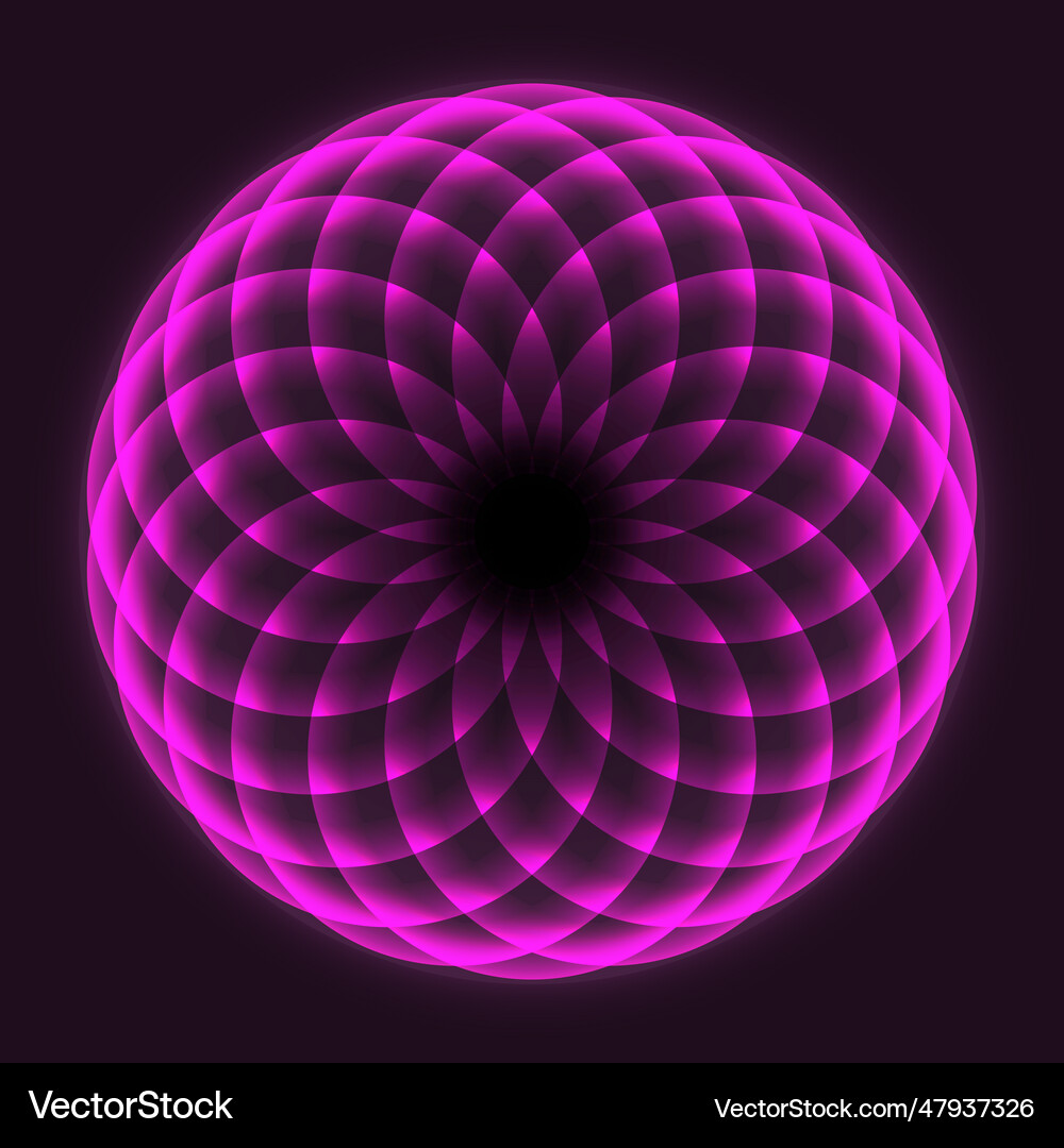 Mathematical symbol mandala design flower Vector Image