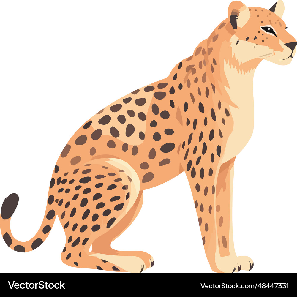 Spotted cheetah walking in african savannah Vector Image