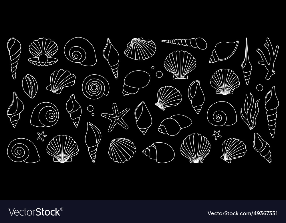 Underwater shells set tropical Royalty Free Vector Image