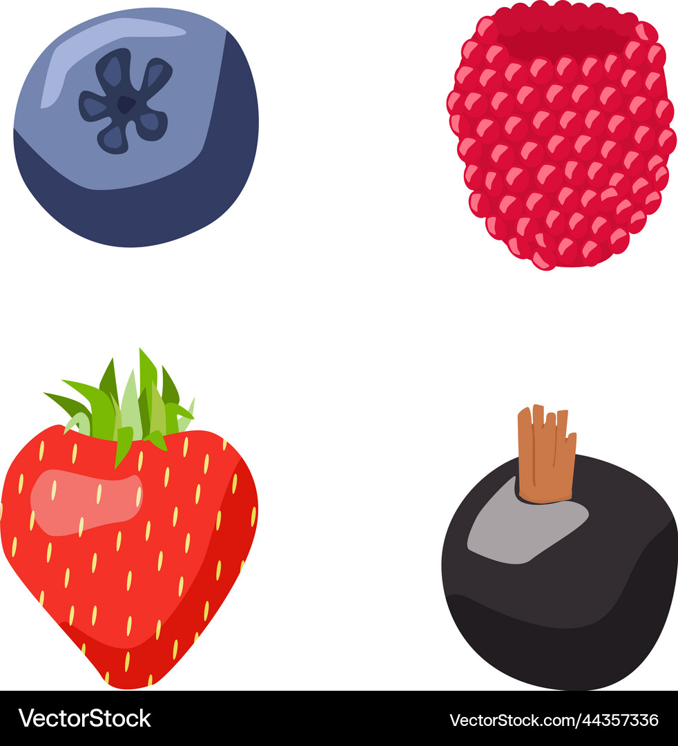 Set of berry icons Royalty Free Vector Image - VectorStock