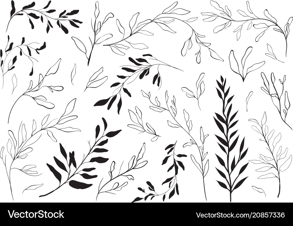 Vintage set of hand drawn tree branches with Vector Image
