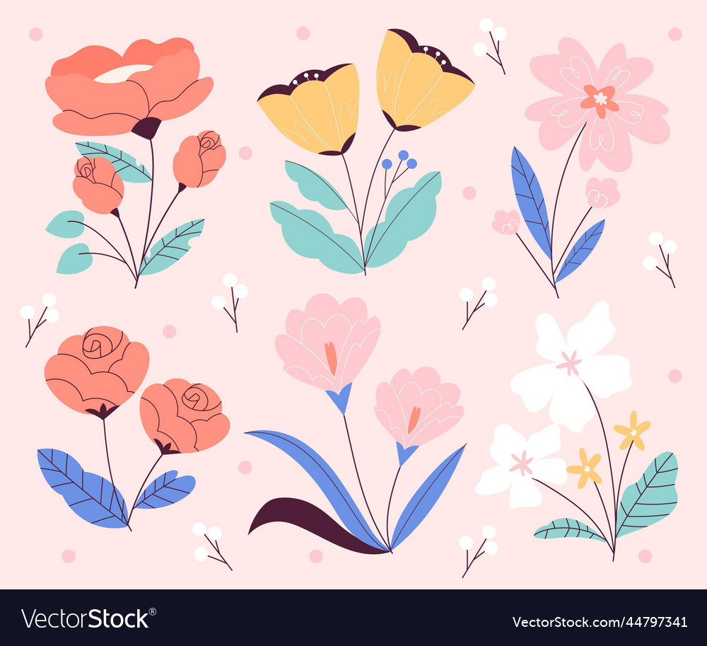 Beautiful spring flower set Royalty Free Vector Image
