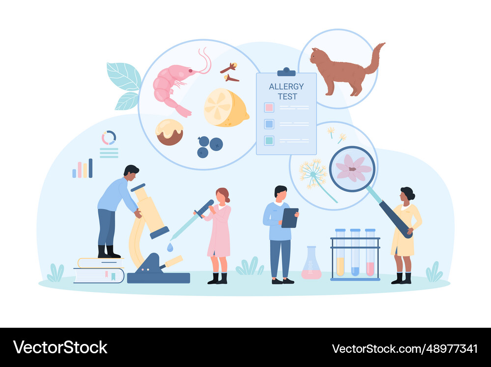 Diagnostics of allergy by test allergology Vector Image