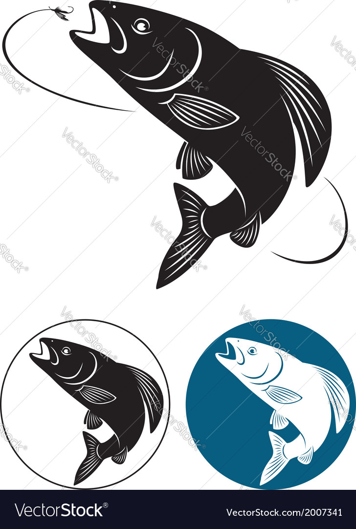 Fish grayling Royalty Free Vector Image - VectorStock