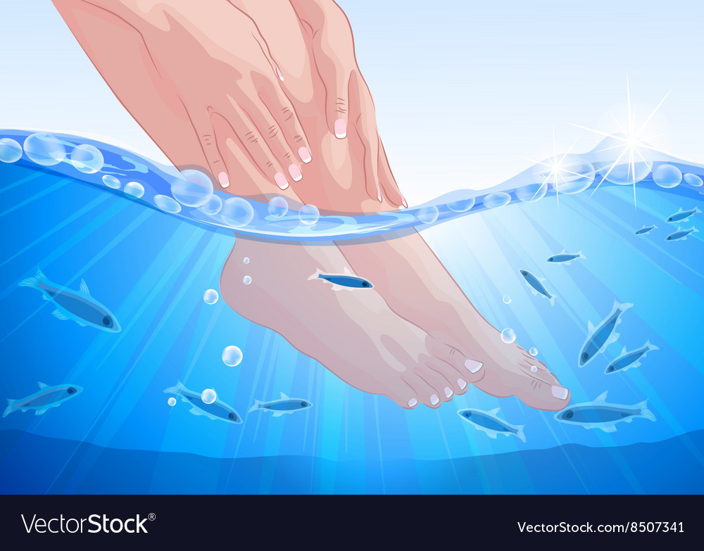 Fish Spa Royalty Free Vector Image - VectorStock
