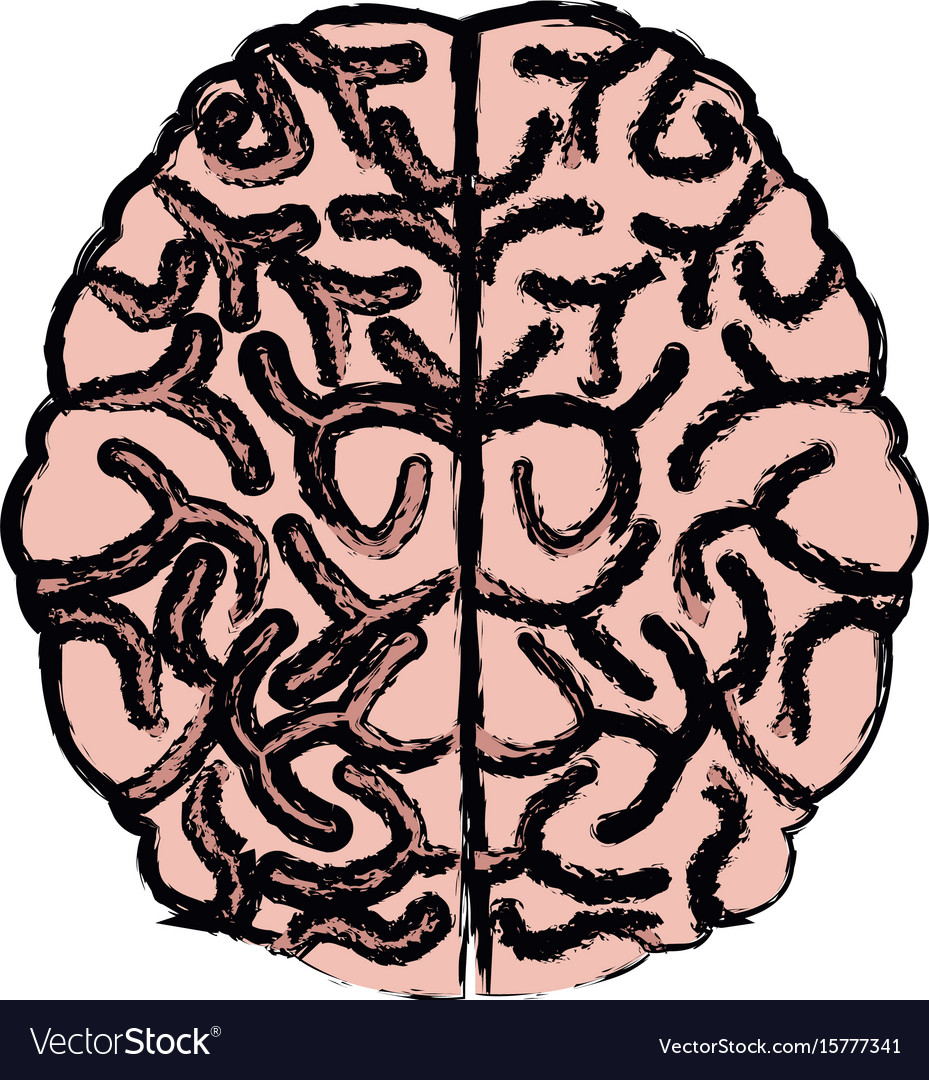 Human brain idea creativity thinking memory image Vector Image