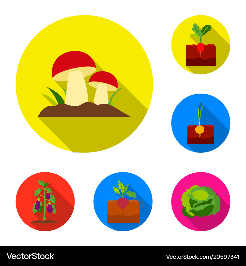 Plant vegetable flat icons in set collection Vector Image