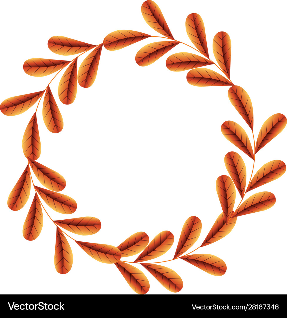 Autumn season leaves design Royalty Free Vector Image