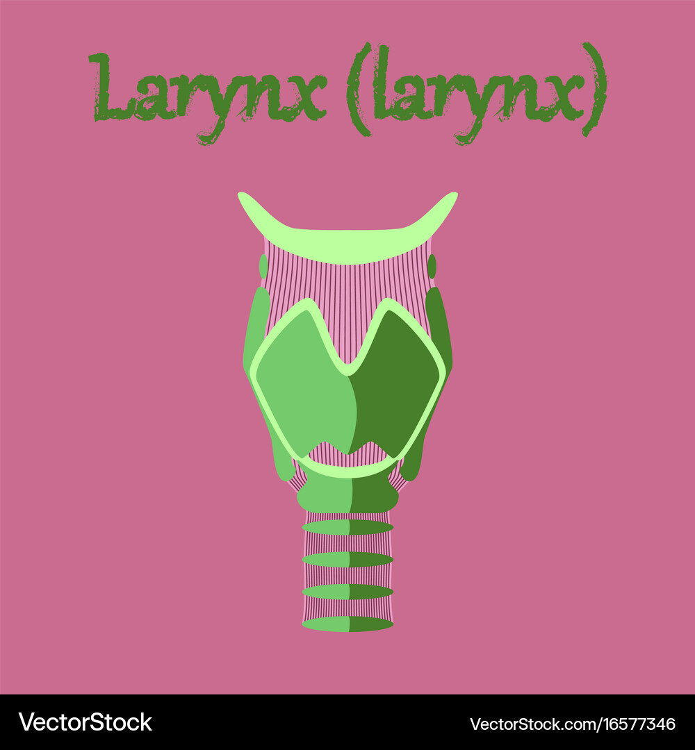 Human organ icon in flat style larynx Royalty Free Vector
