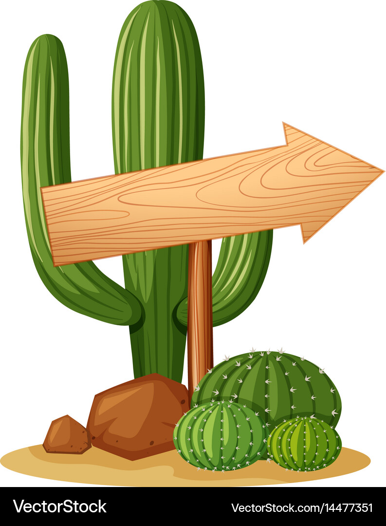 Arrow sign in cactus garden Royalty Free Vector Image
