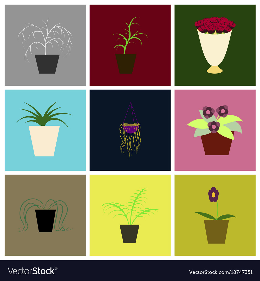 Assembly flat icons houseplants Royalty Free Vector Image