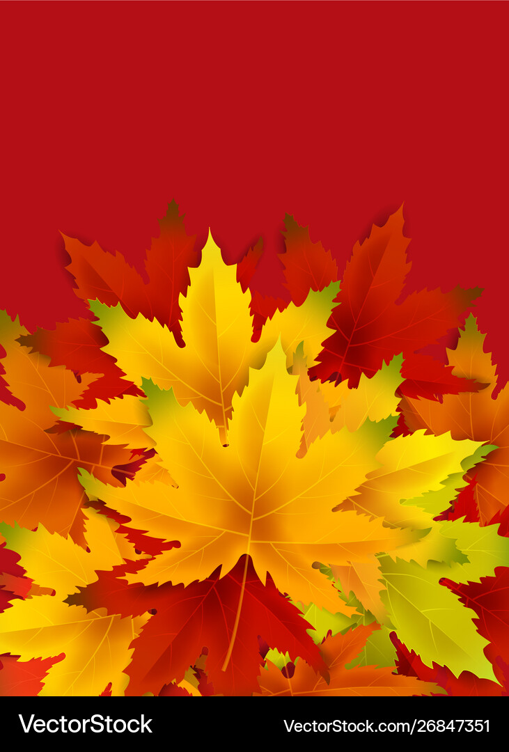 Autumn background template with falling bunch Vector Image