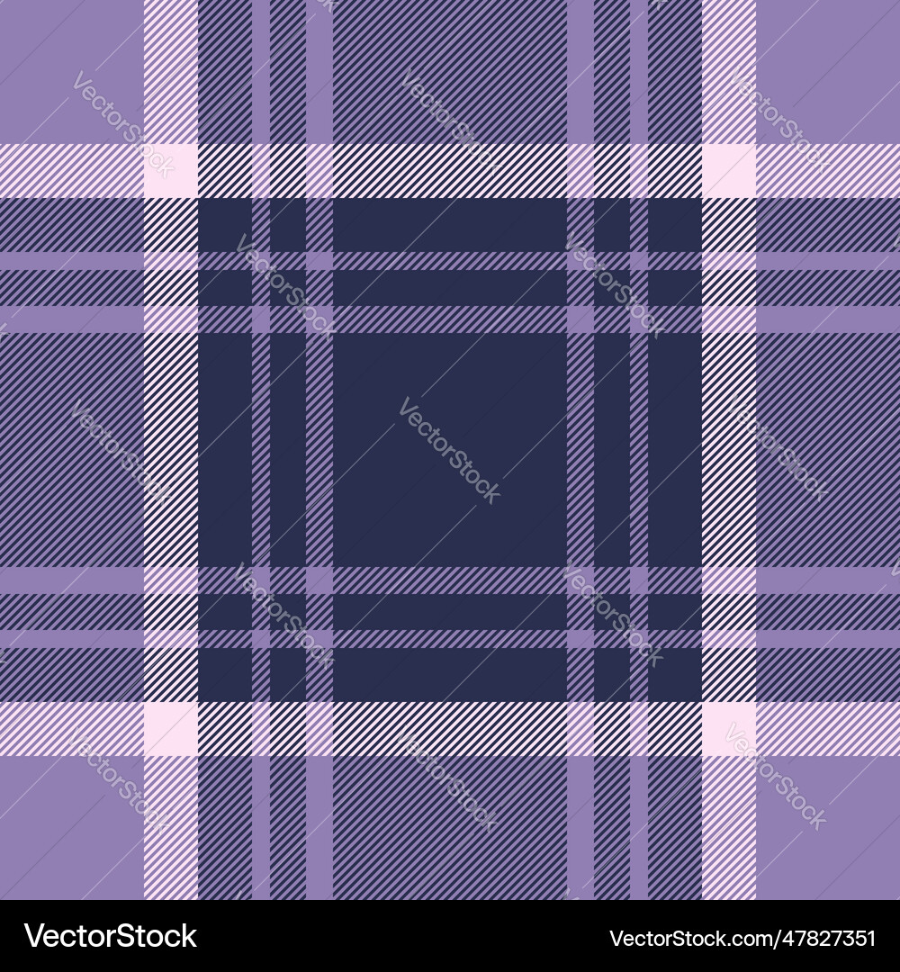 Check textile tartan of texture fabric background Vector Image