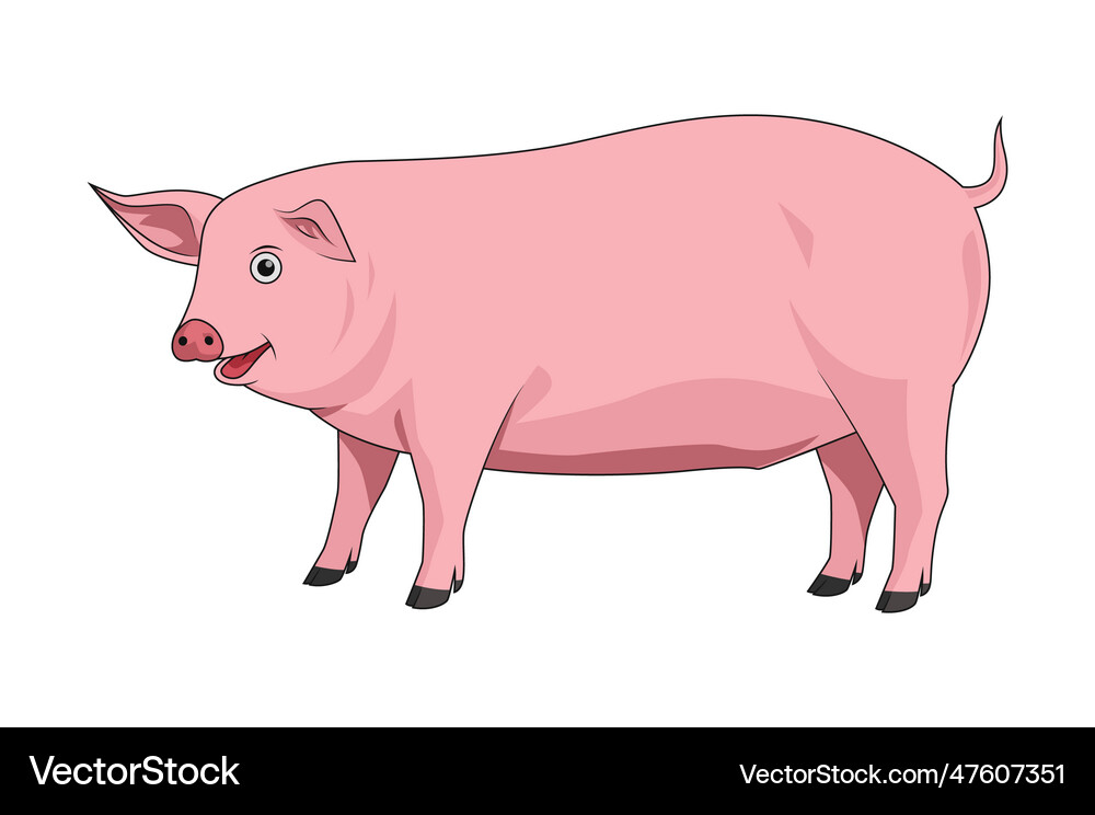 Cute cartoon pig isolated on white Royalty Free Vector Image