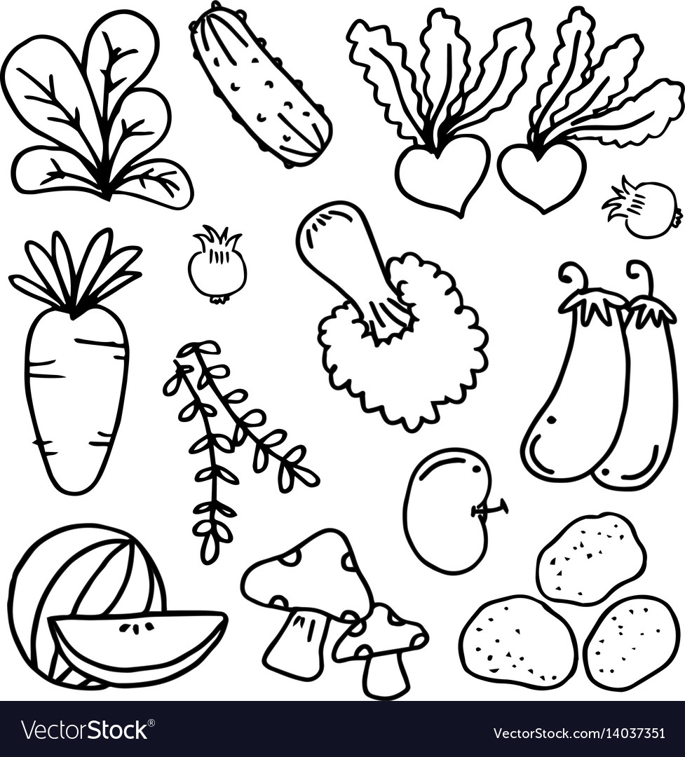 Fresh Vegetable Doodles Royalty Free Vector Image