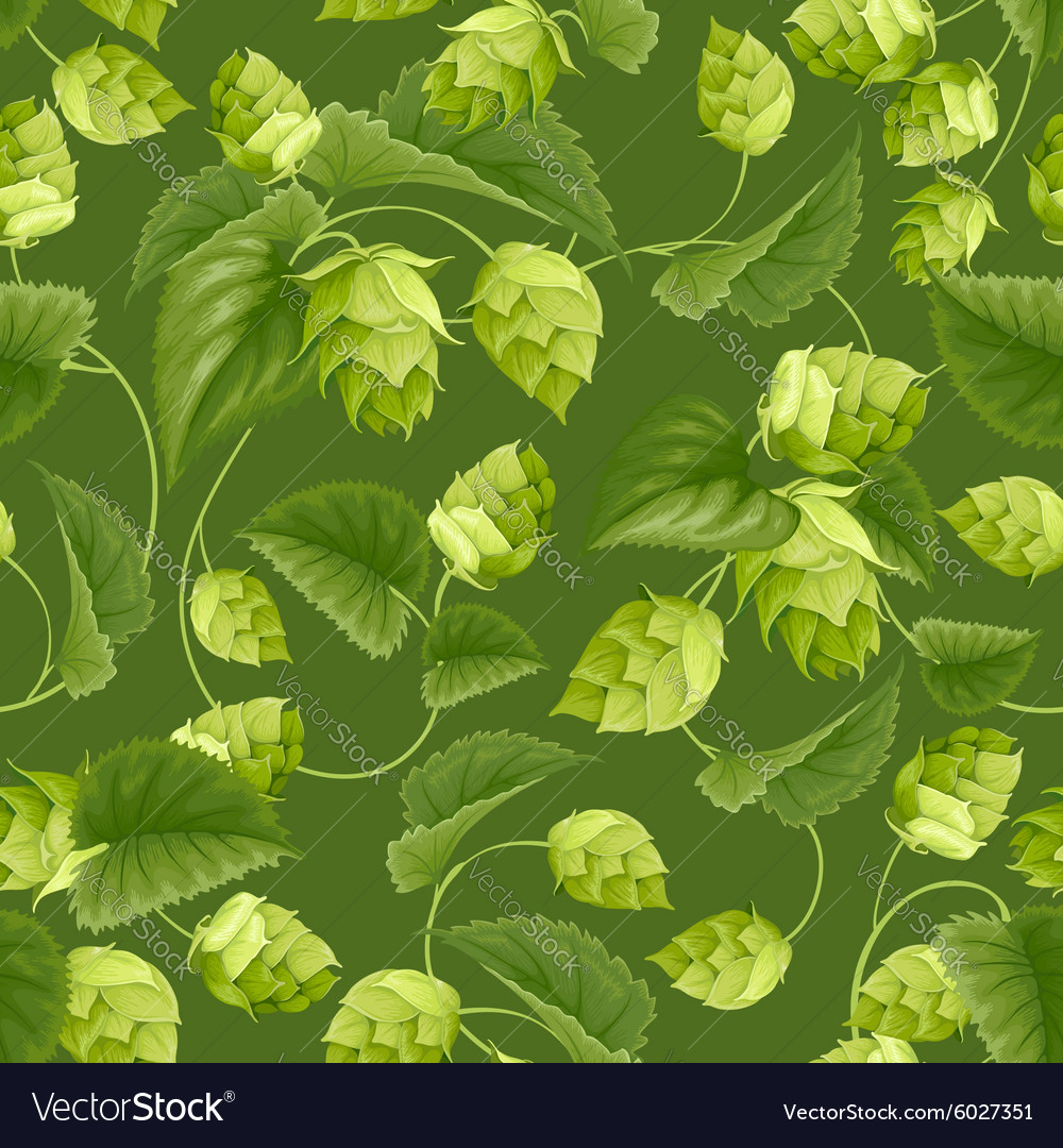 Hops seamless pattern Royalty Free Vector Image