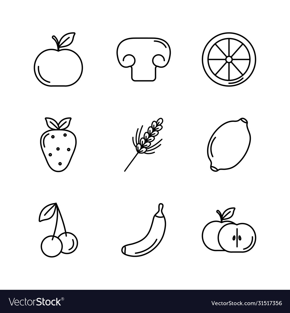 Fruits and healthy food icon set line style Vector Image