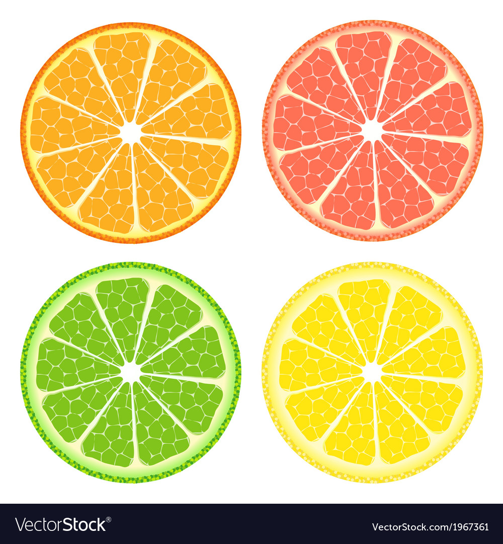 Citrus fruit set Royalty Free Vector Image - VectorStock Citrus fruit set Royalty Free Vector Image - VectorStock