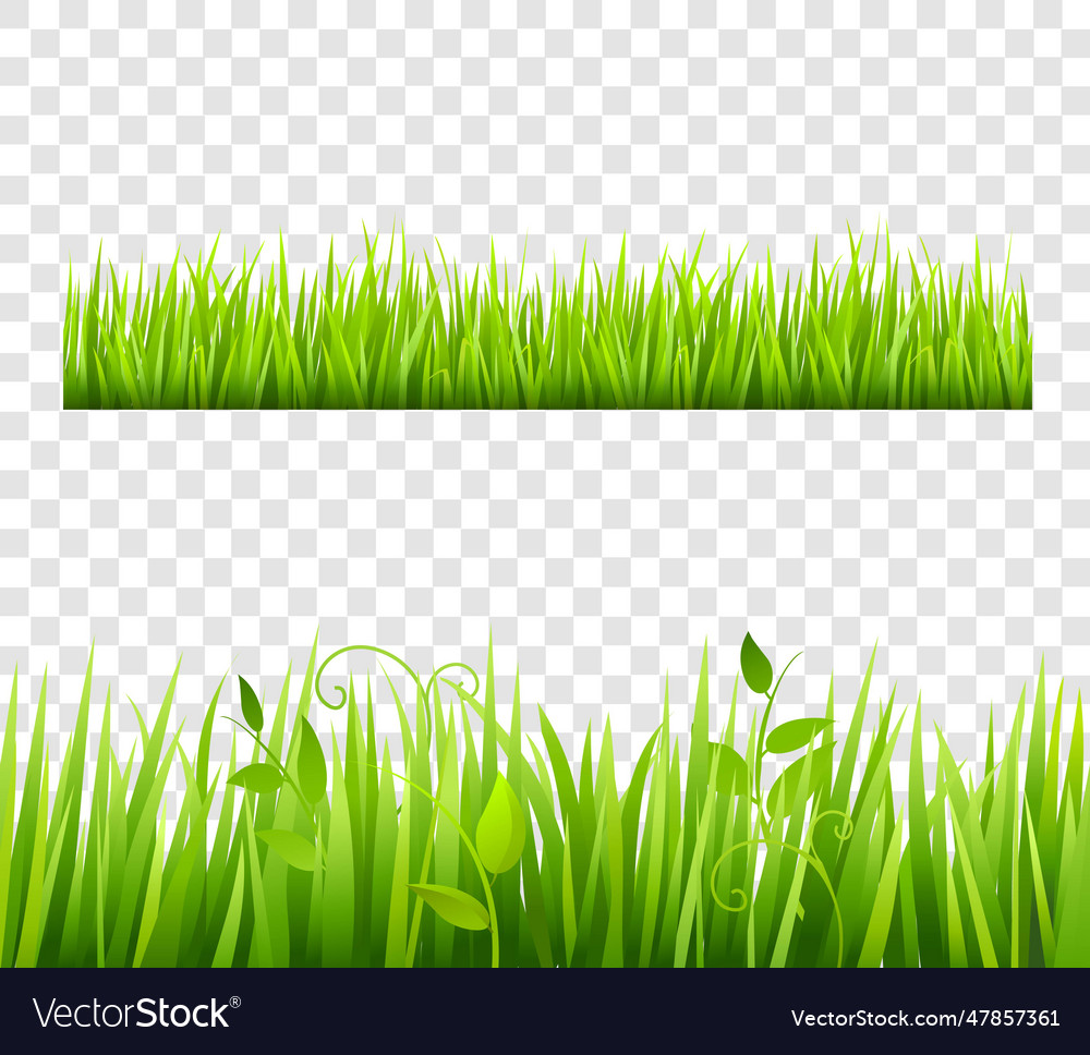 Grass border tileable transparent Royalty Free Vector Image