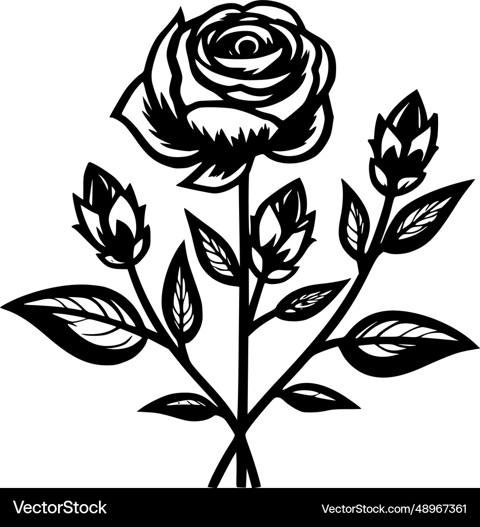 Roses - minimalist and simple silhouette – Royalty-Free Vector ...