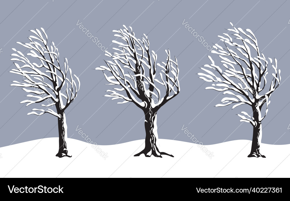 Set of snow covered old trees Royalty Free Vector Image