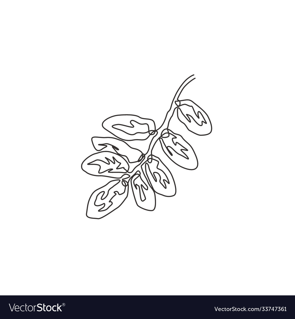 Single continuous line drawing stack healthy Vector Image